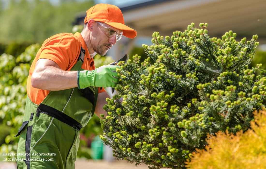 Garden Maintenance Guide: Essential Tools and Techniques - Easy ...