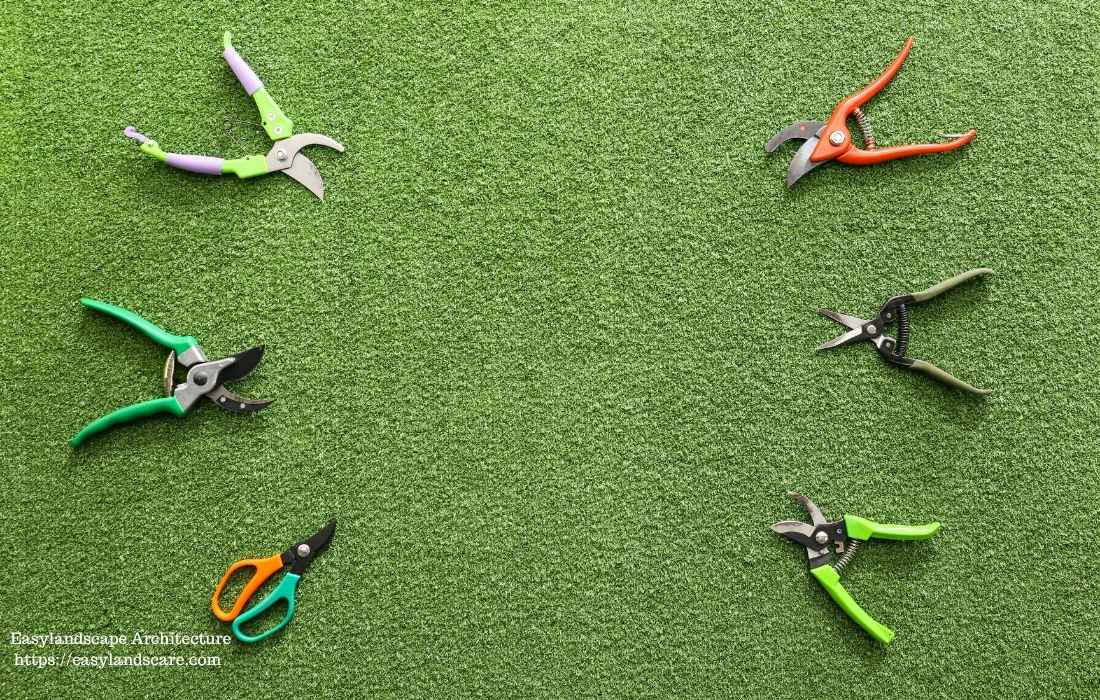 The Best Tree Pruning Tools to Keep Your Trees Healthy - Easy Landscape ...