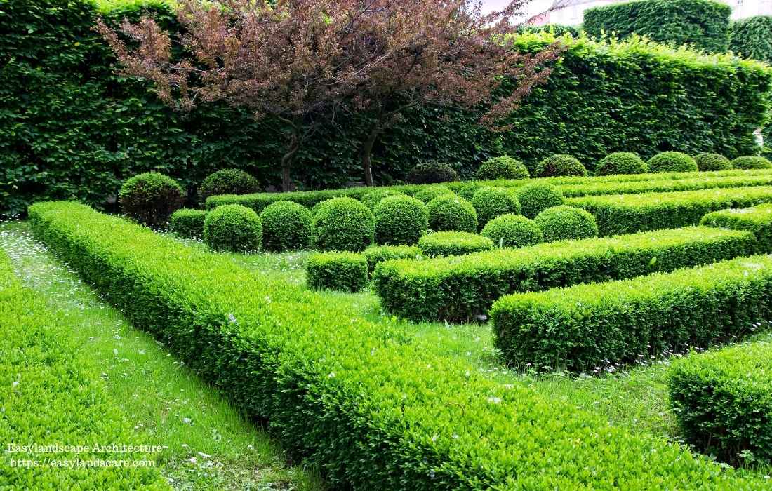 Discover Topiary: The Art and History of Shaping Plants - Easy ...