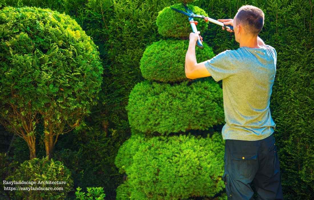 Discover Topiary: The Art and History of Shaping Plants - Easy ...