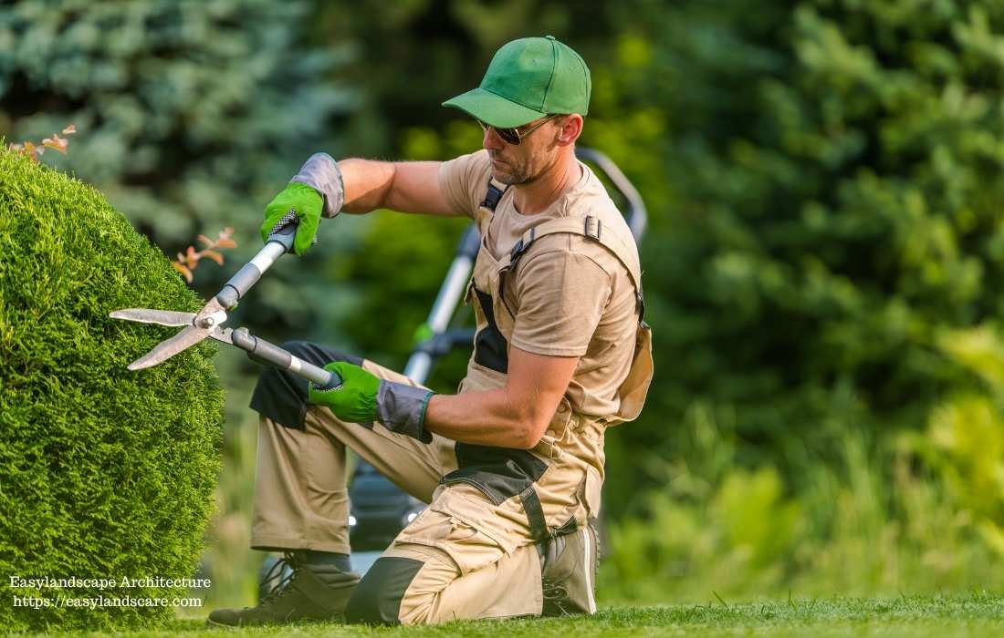 Discover Topiary: The Art and History of Shaping Plants - Easy ...