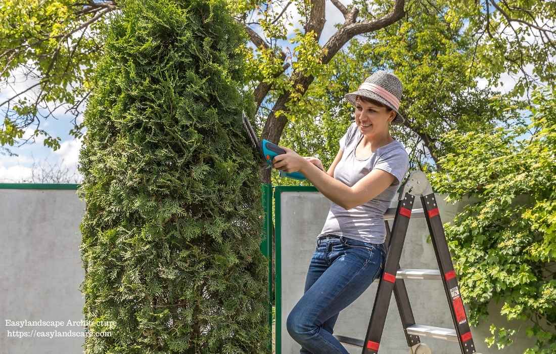 Discover Topiary: The Art and History of Shaping Plants - Easy ...